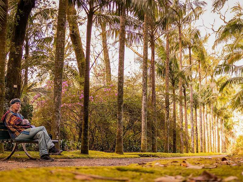 Azoren im November: Warum sich eine Reise jetzt besonders lohnt